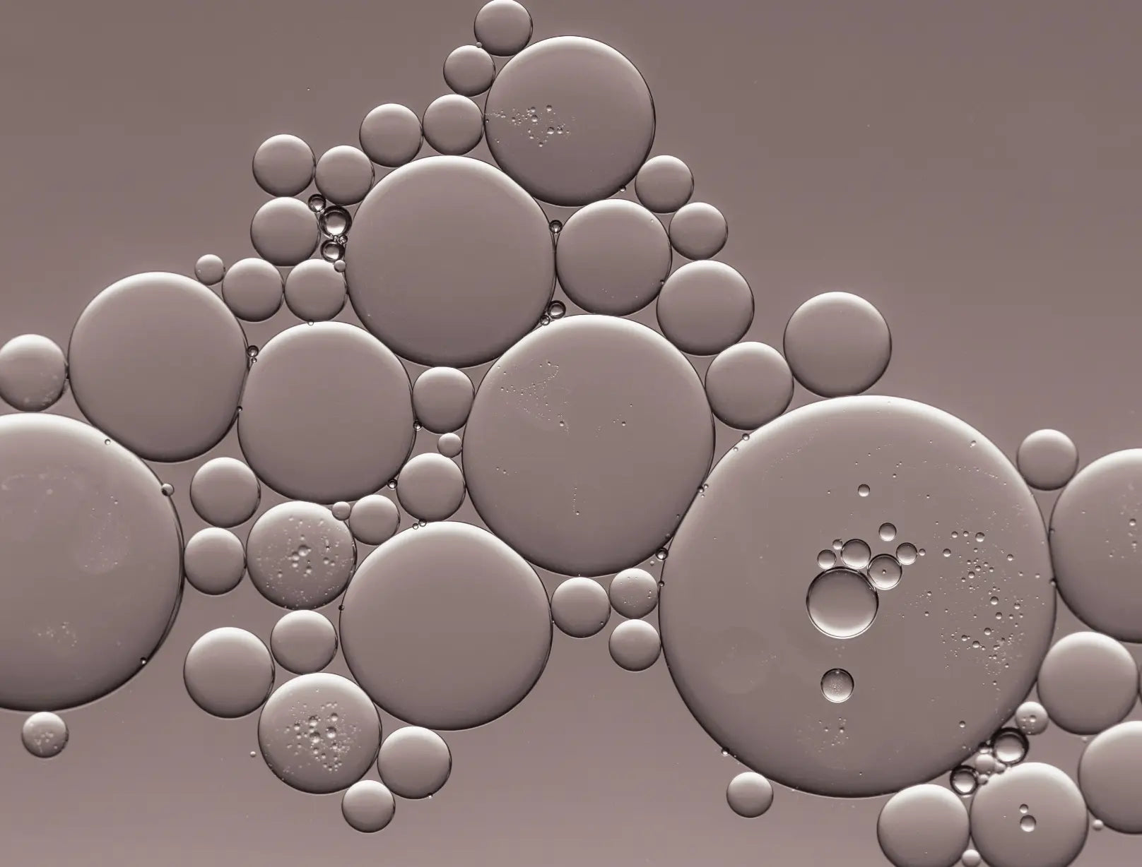 Probiotics and Men’s Fertility: What’s the connection? – LEV+LIV